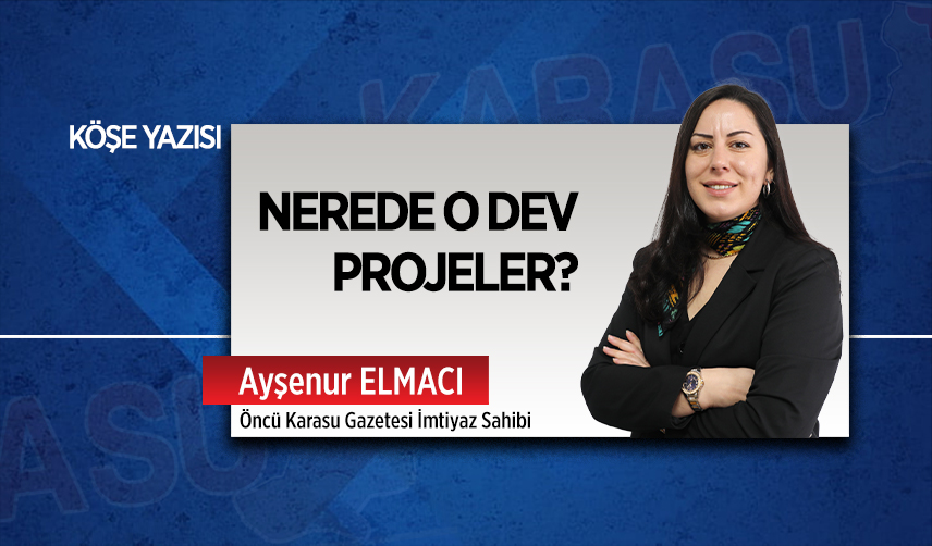 Ayşenur Elmacı: Nerede o DEV projeler? - Karasu Haberleri | Karasu'dan 24 saat haber